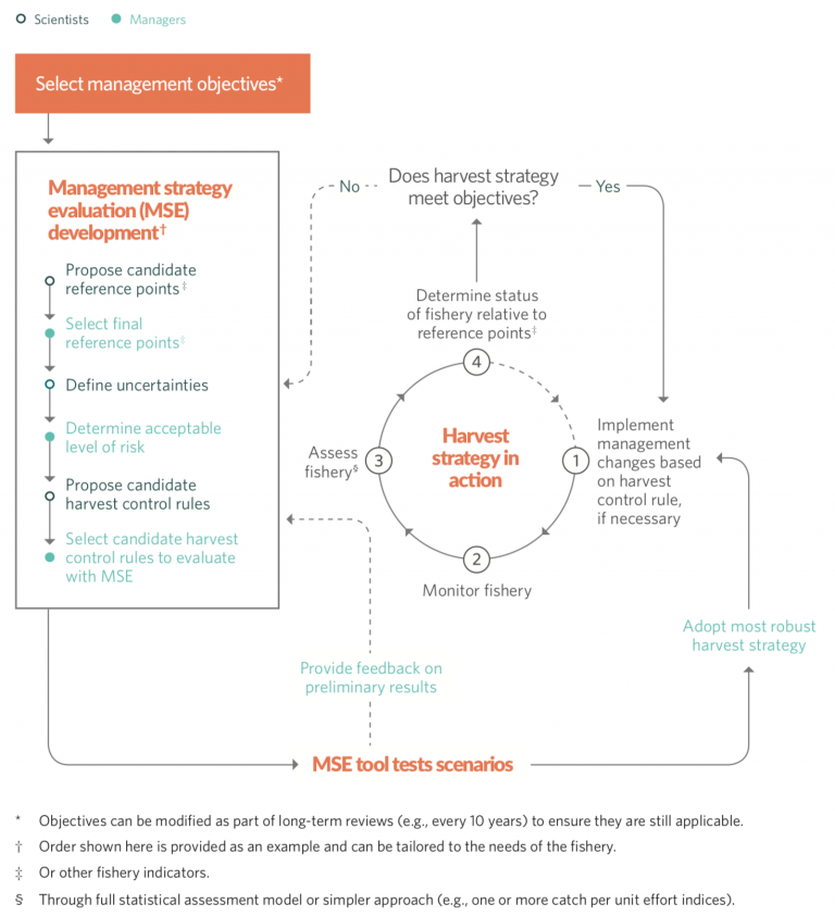 Harvest Strategies | Harvest Strategies
